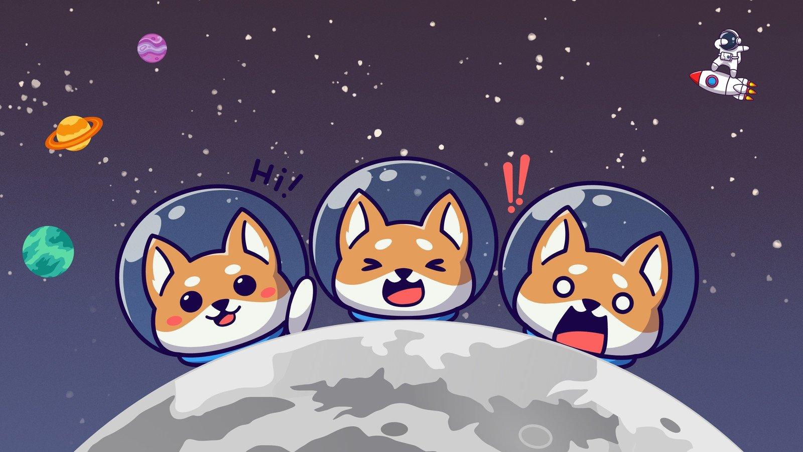 Kawaii Animal Space Wallpapers - Top Free Kawaii Animal Space ...