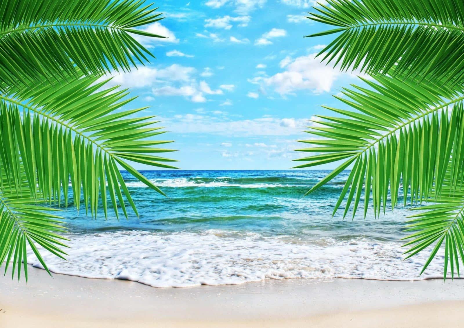 Girly Beach Wallpapers - Top Free Girly Beach Backgrounds - WallpaperAccess