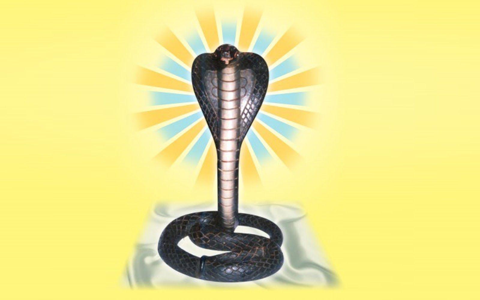 Goga Maharaj Wallpapers - Top Free Goga Maharaj Backgrounds - WallpaperAccess