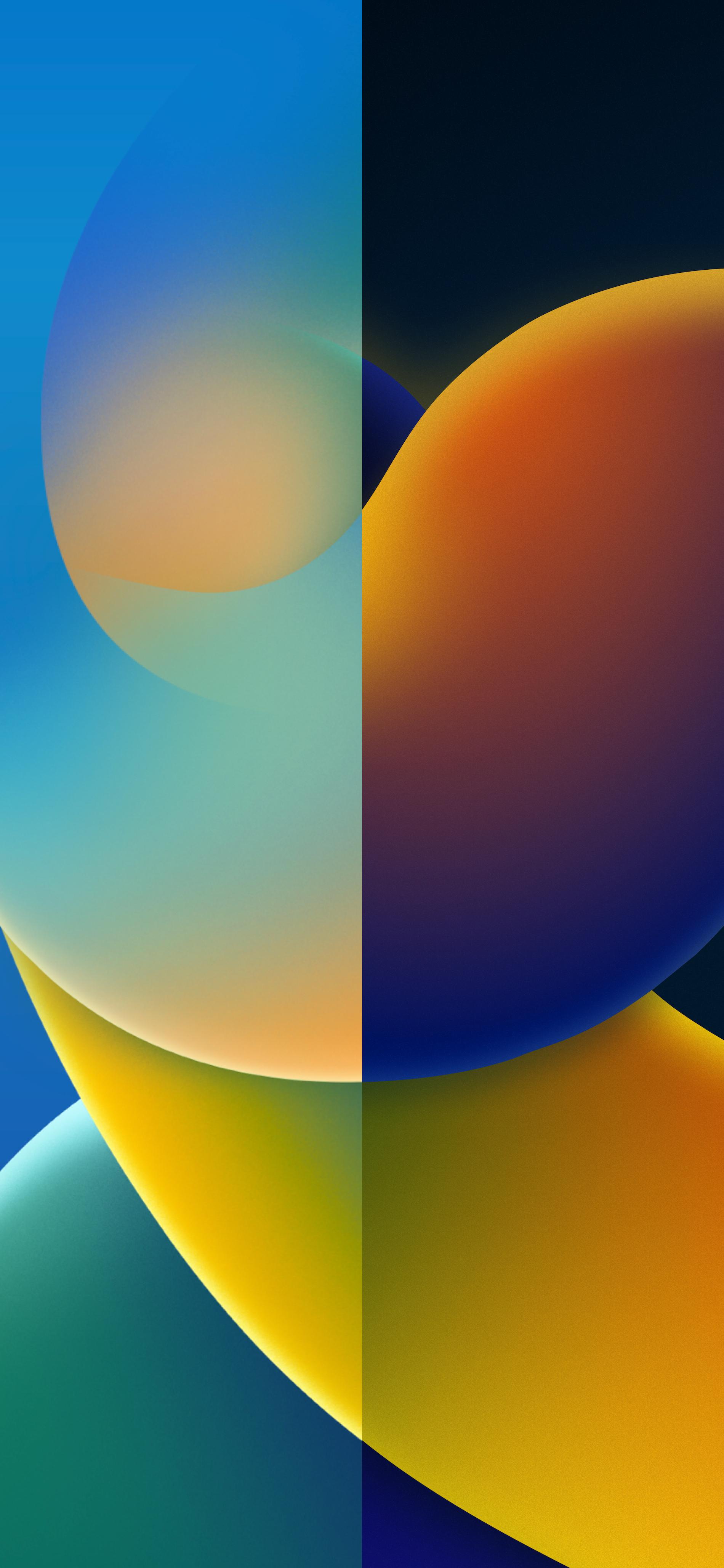 Orange Dual Wallpapers - Top Free Orange Dual Backgrounds - WallpaperAccess
