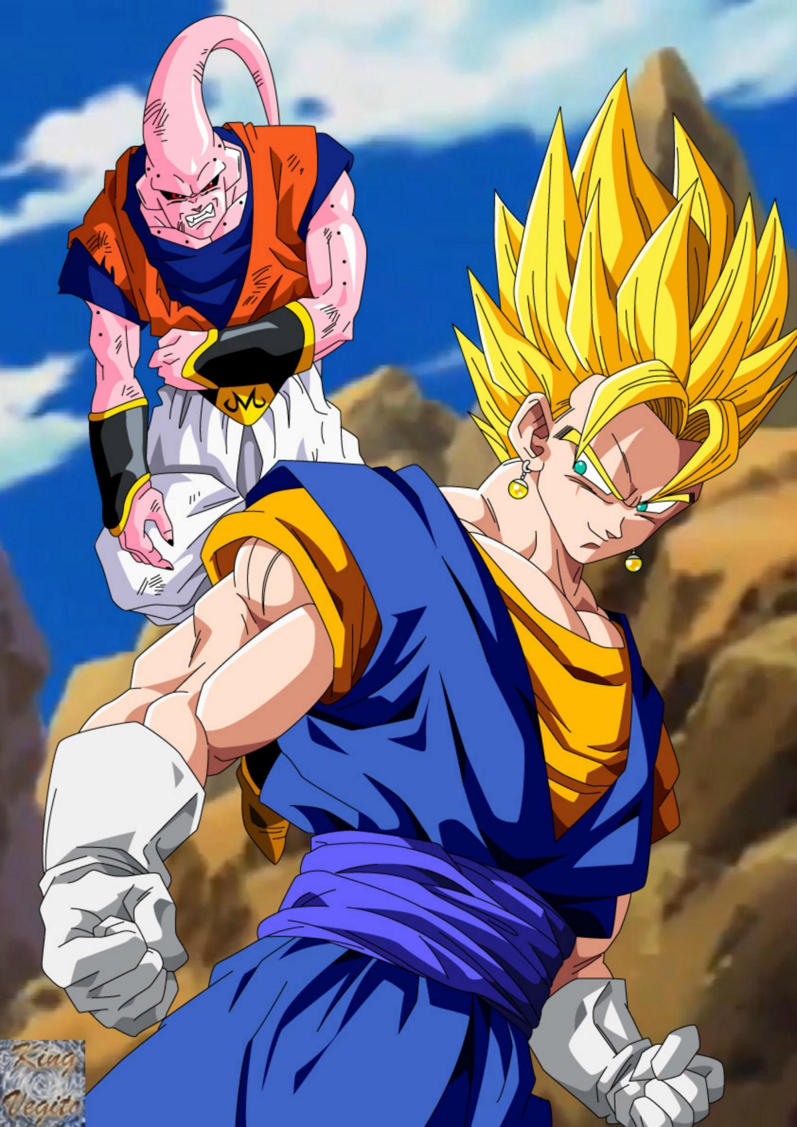 Buu All Forms Wallpapers - Top Free Buu All Forms Backgrounds ...