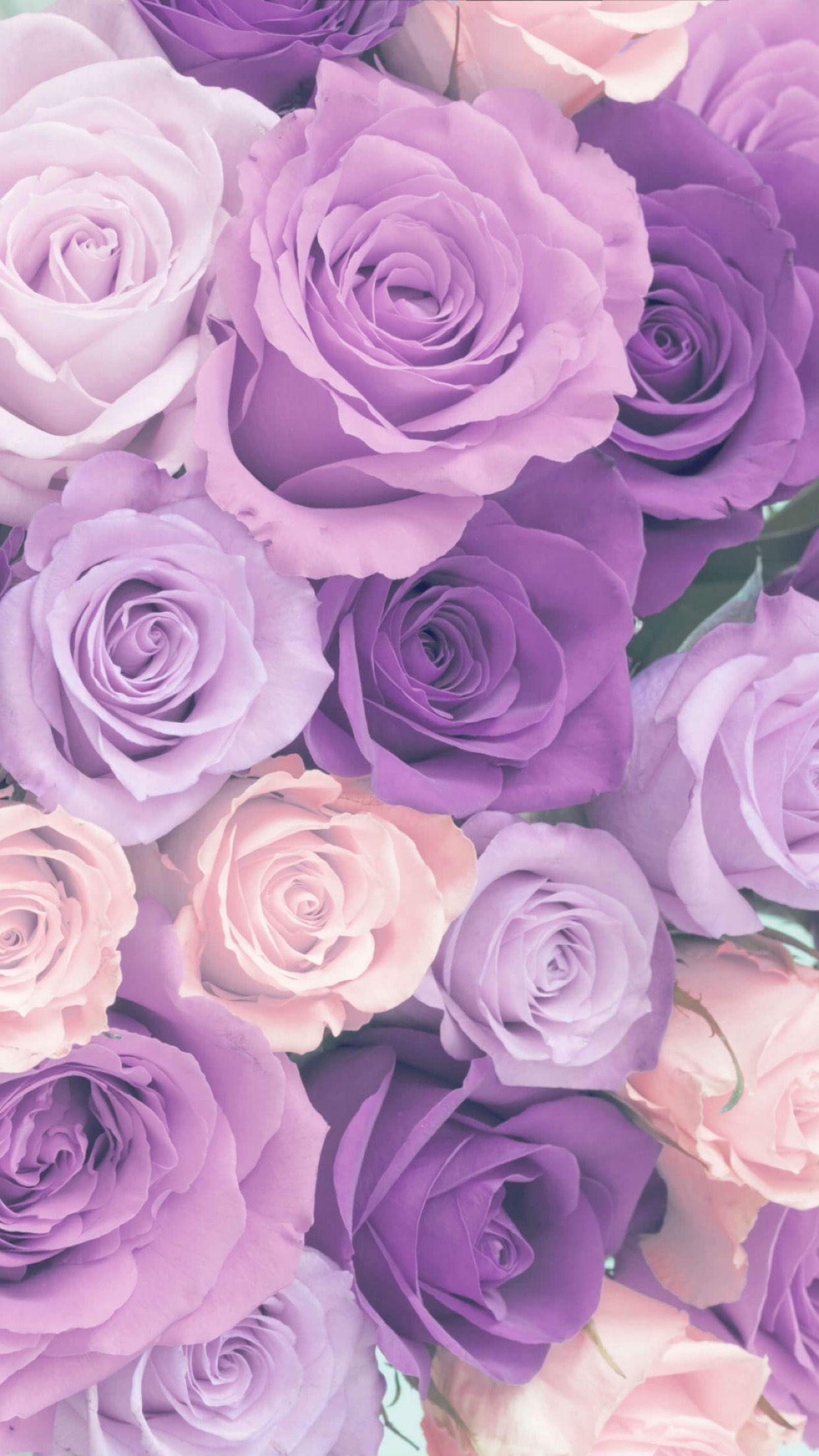 Pastel Purple Flower Wallpapers - Top Free Pastel Purple Flower ...