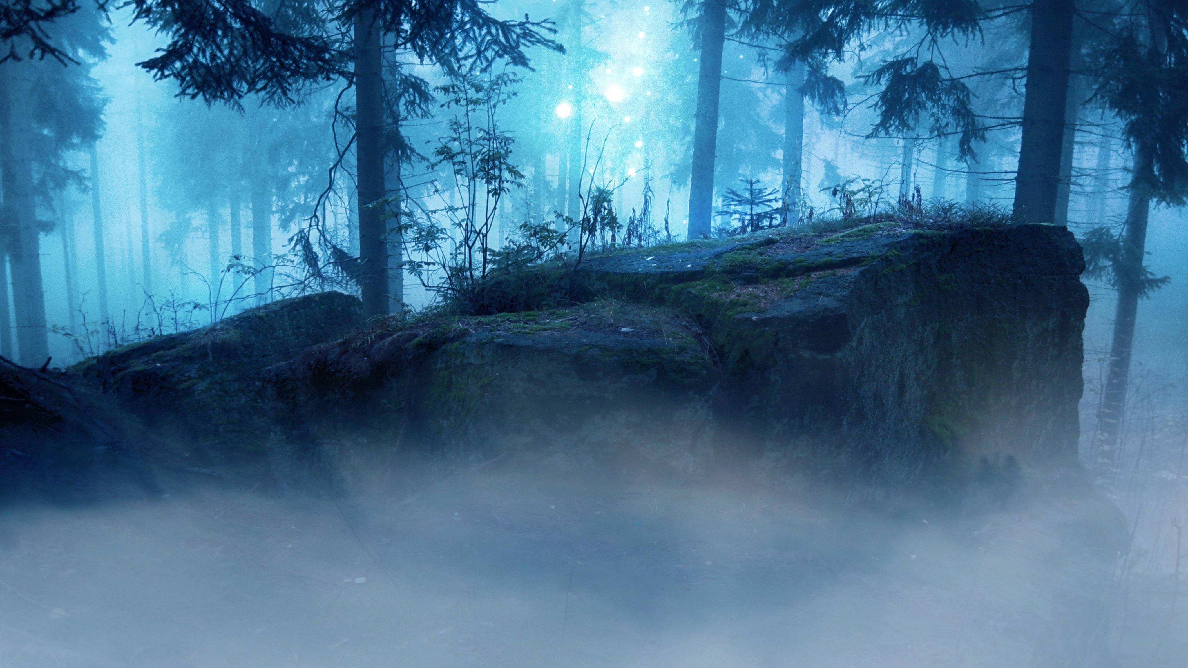 5k Forest Wallpapers - Top Free 5k Forest Backgrounds - WallpaperAccess