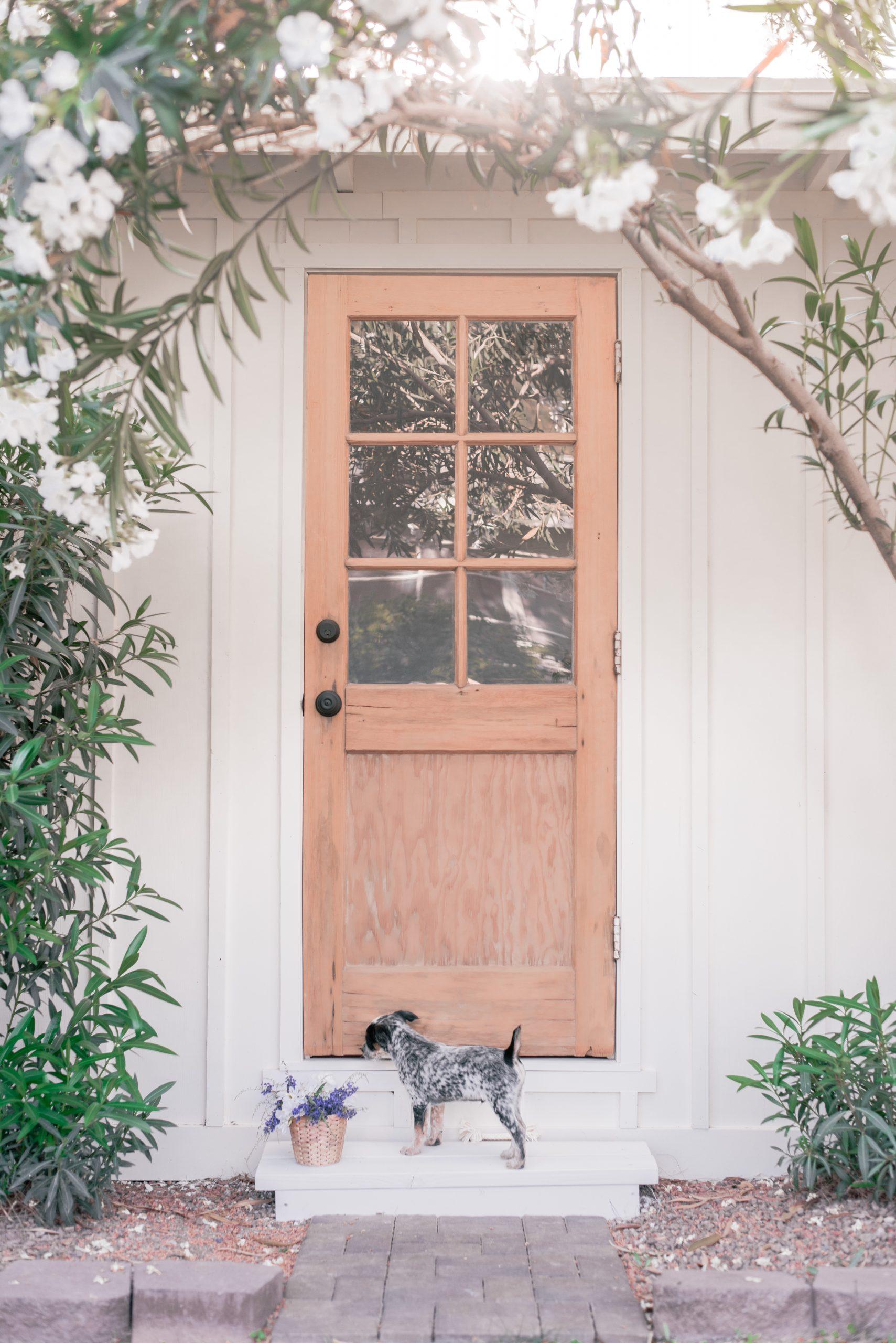 Front Door Wallpapers - Top Free Front Door Backgrounds - WallpaperAccess