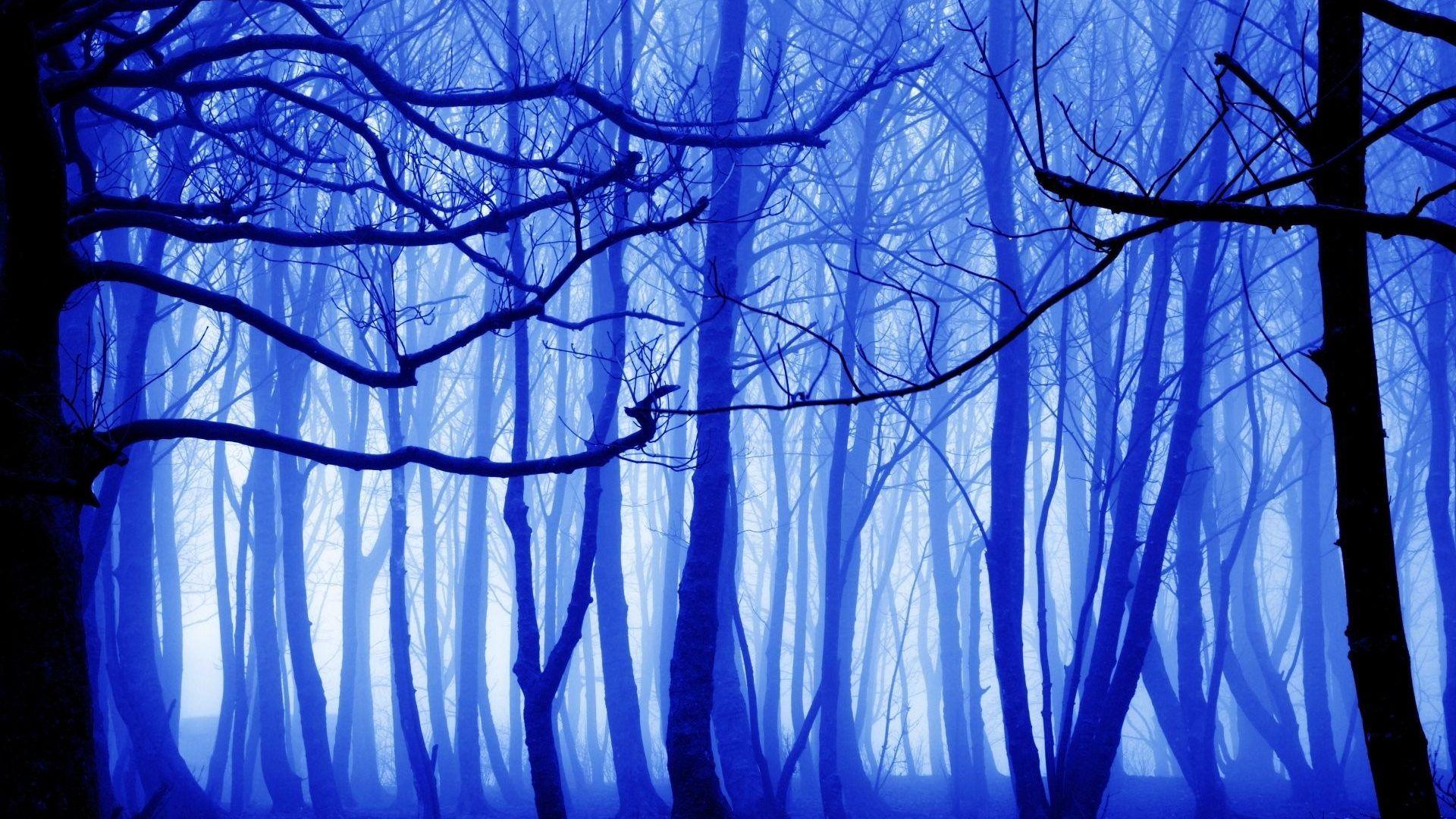 Blue Scenic Wallpapers - Top Free Blue Scenic Backgrounds - WallpaperAccess