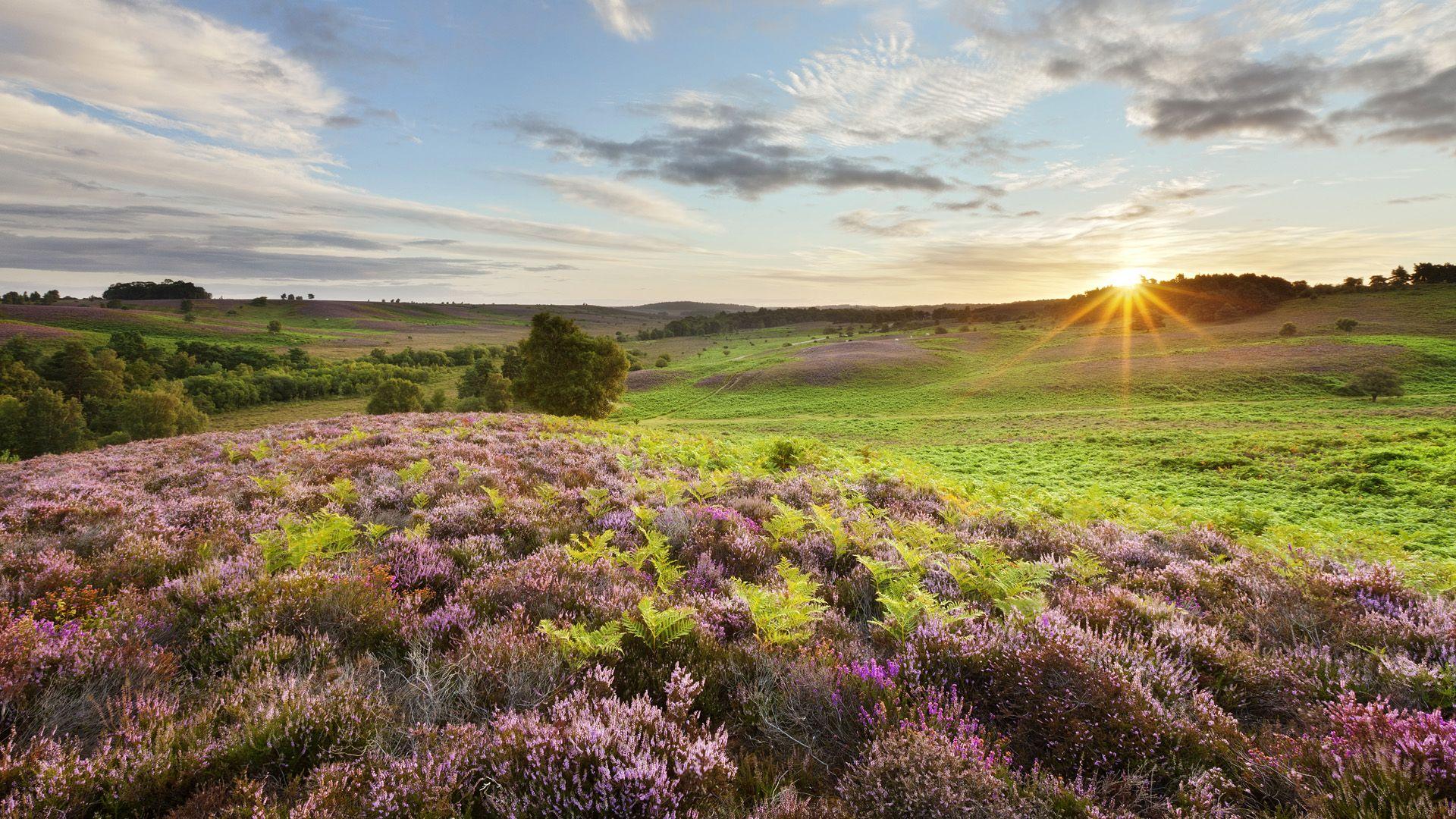 English Landscape Wallpapers - Top Free English Landscape Backgrounds ...