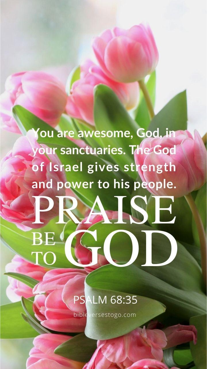 Praise The Lord Wallpapers - Top Free Praise The Lord Backgrounds ...