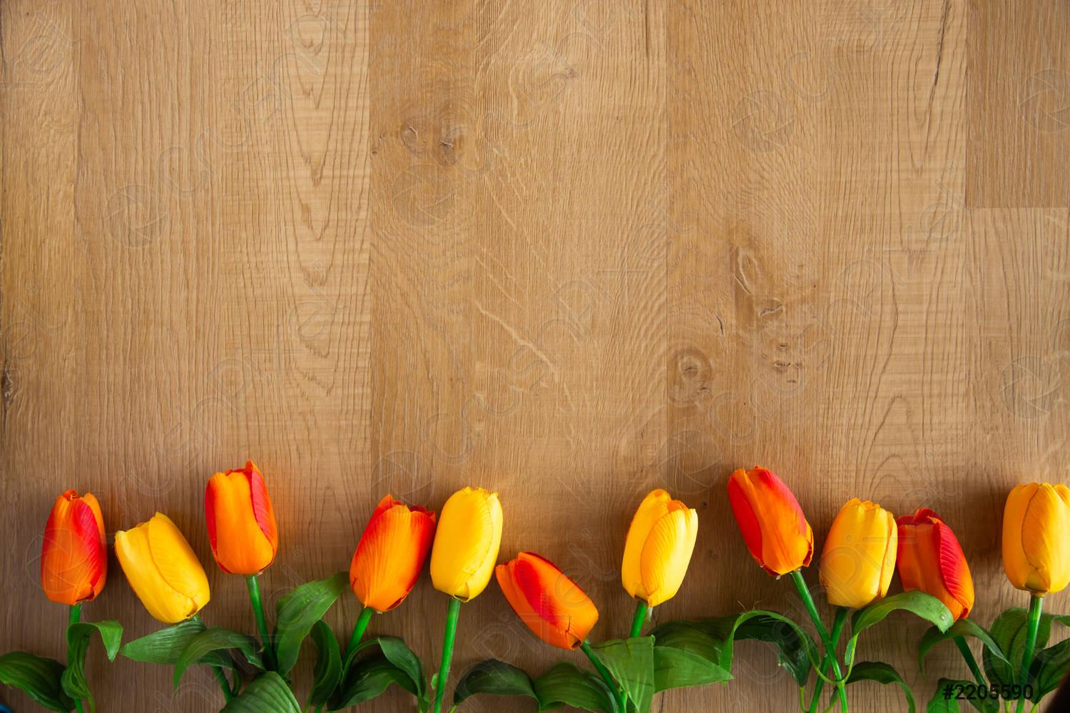 Tulip Wood Wallpapers - Top Free Tulip Wood Backgrounds - WallpaperAccess