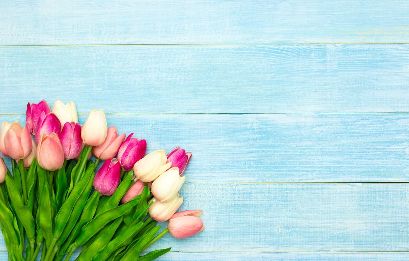 Tulip Wood Wallpapers - Top Free Tulip Wood Backgrounds - WallpaperAccess