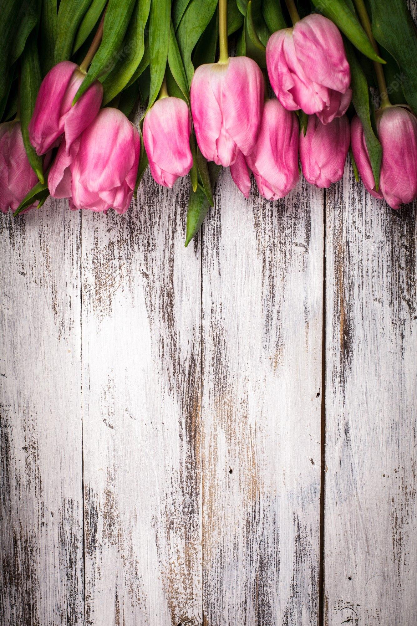 Tulip Wood Wallpapers - Top Free Tulip Wood Backgrounds - WallpaperAccess