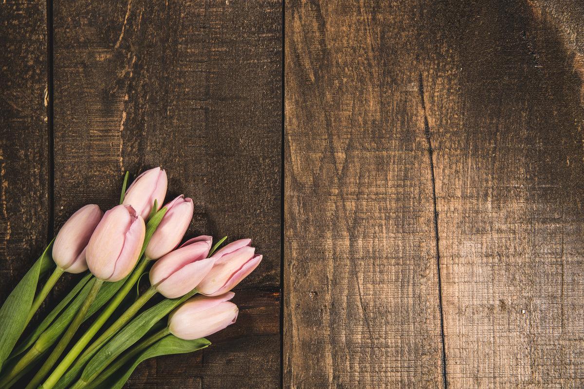 Tulip Wood Wallpapers - Top Free Tulip Wood Backgrounds - WallpaperAccess