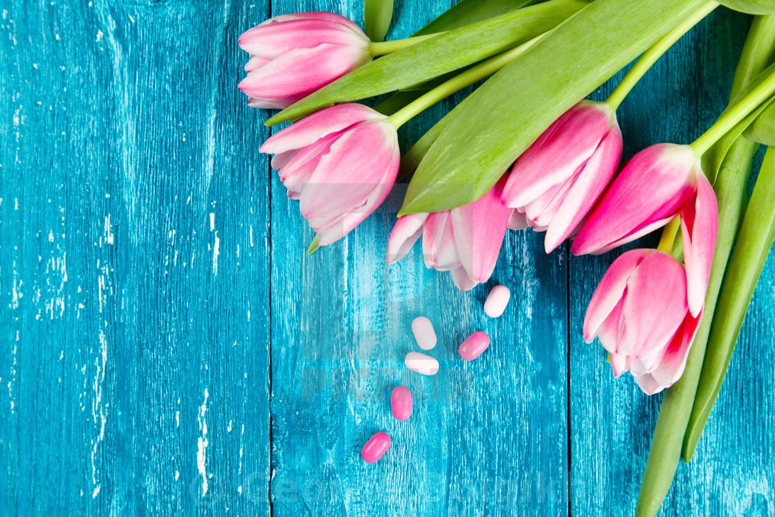 Tulip Wood Wallpapers - Top Free Tulip Wood Backgrounds - WallpaperAccess