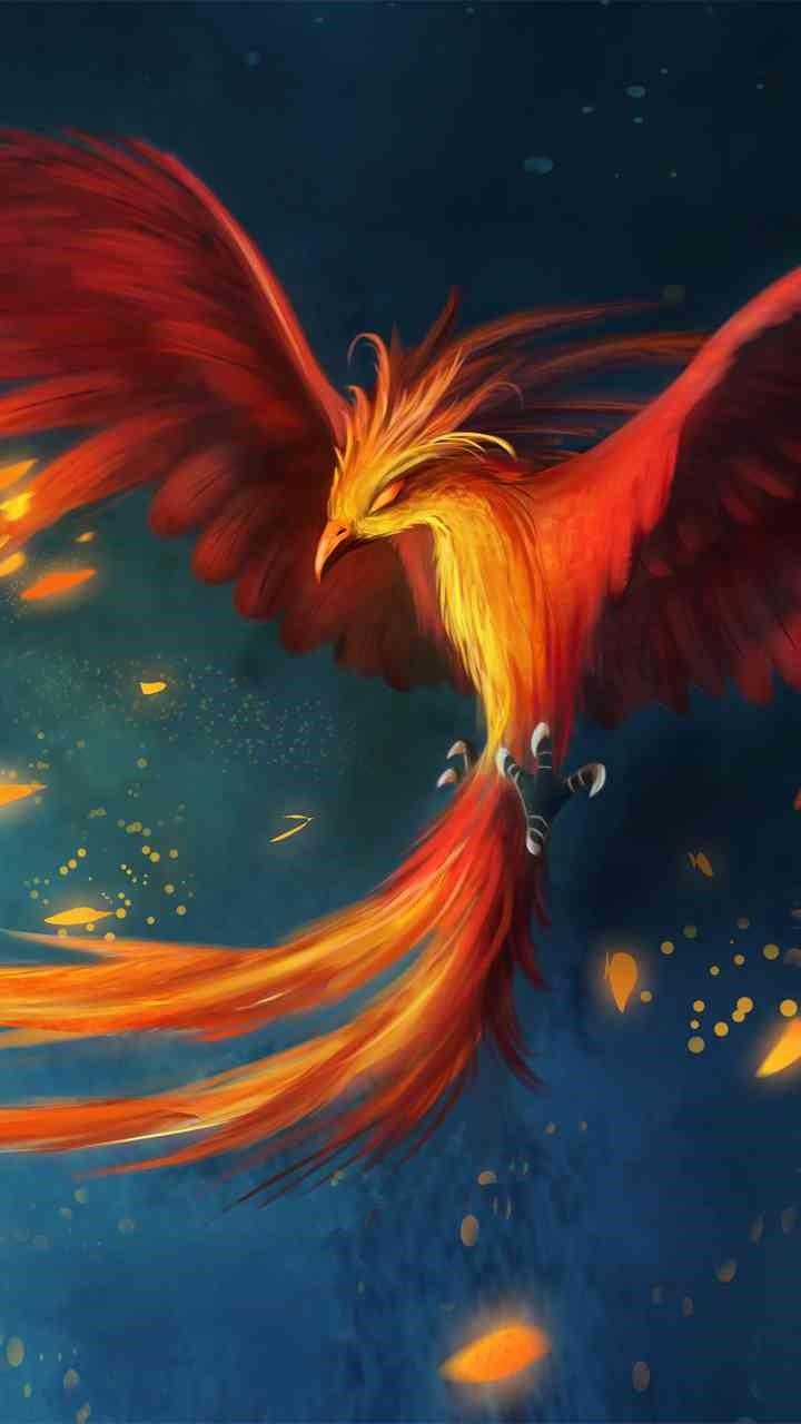 Samsung Galaxy F13 Wallpapers - Top Free Samsung Galaxy F13 Backgrounds ...