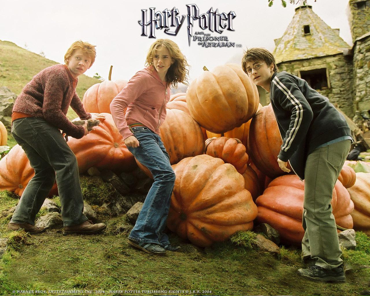 The Golden Trio Wallpapers - Top Free The Golden Trio Backgrounds ...