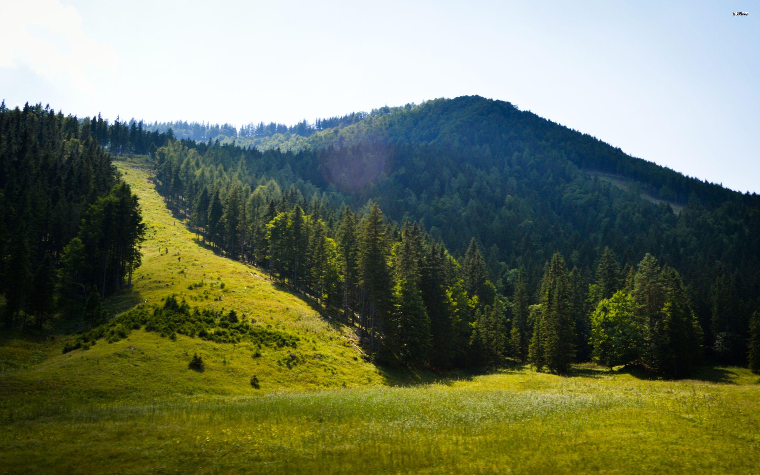 Ski Slope Wallpapers - Top Free Ski Slope Backgrounds - WallpaperAccess