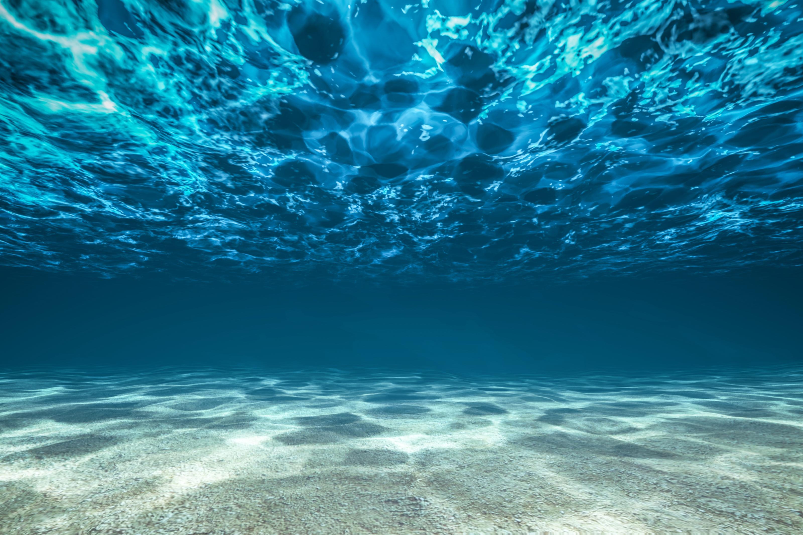 Bottom of The Sea Wallpapers - Top Free Bottom of The Sea Backgrounds ...
