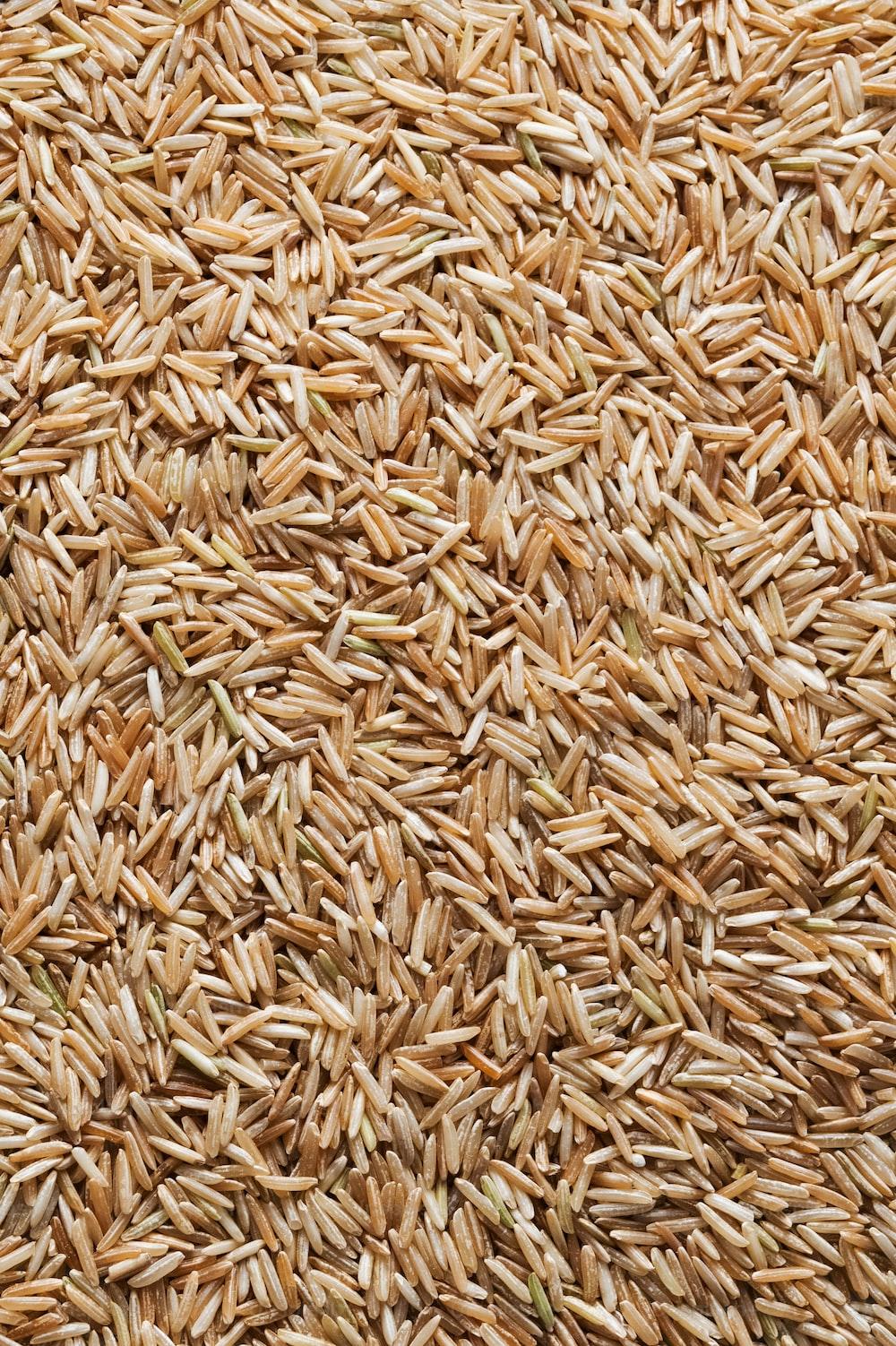 Brown Rice Wallpapers - Top Free Brown Rice Backgrounds - WallpaperAccess