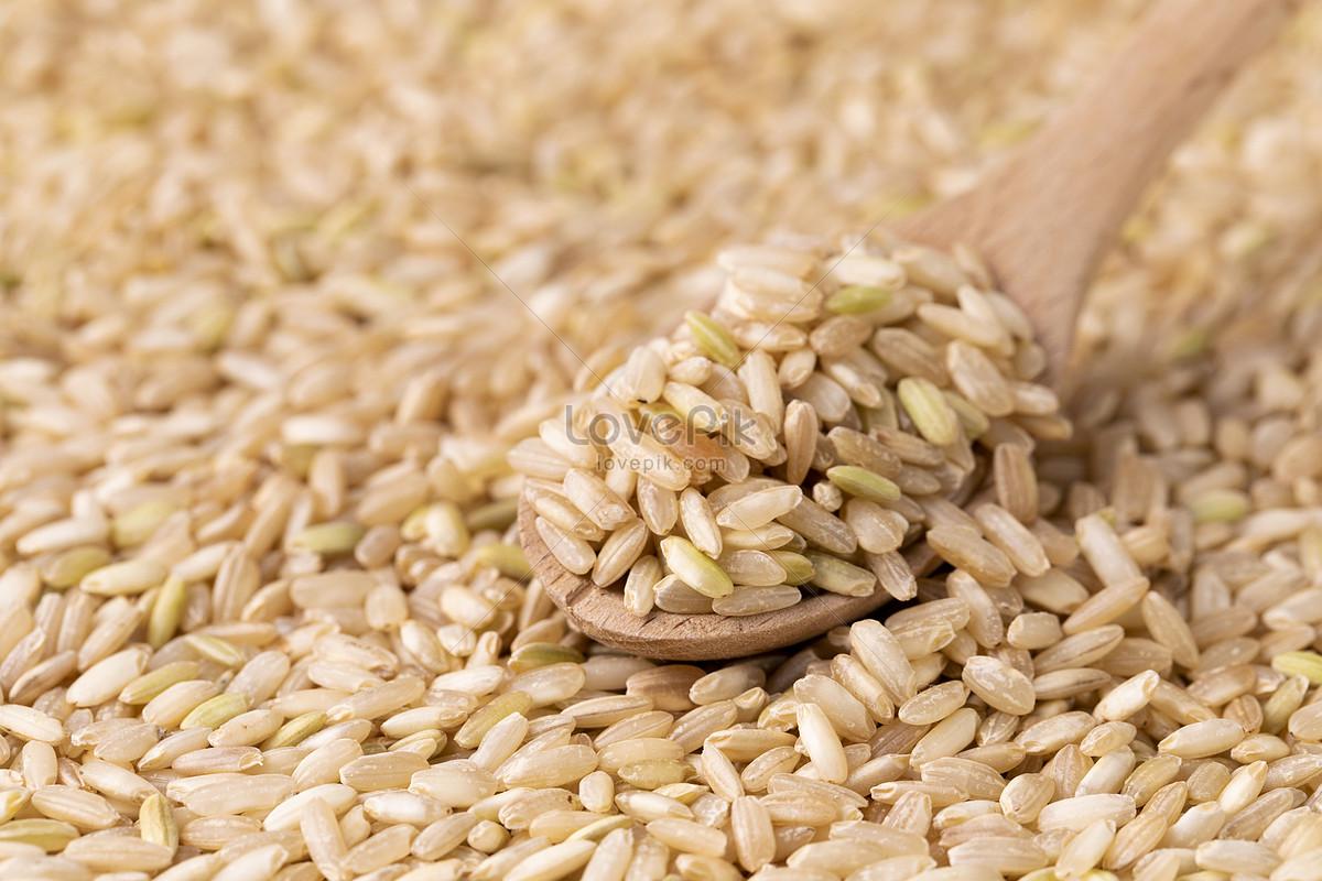 Brown Rice Wallpapers - Top Free Brown Rice Backgrounds - WallpaperAccess