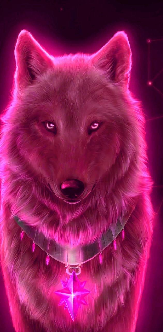 Star Wolf Wallpapers - Top Free Star Wolf Backgrounds - WallpaperAccess
