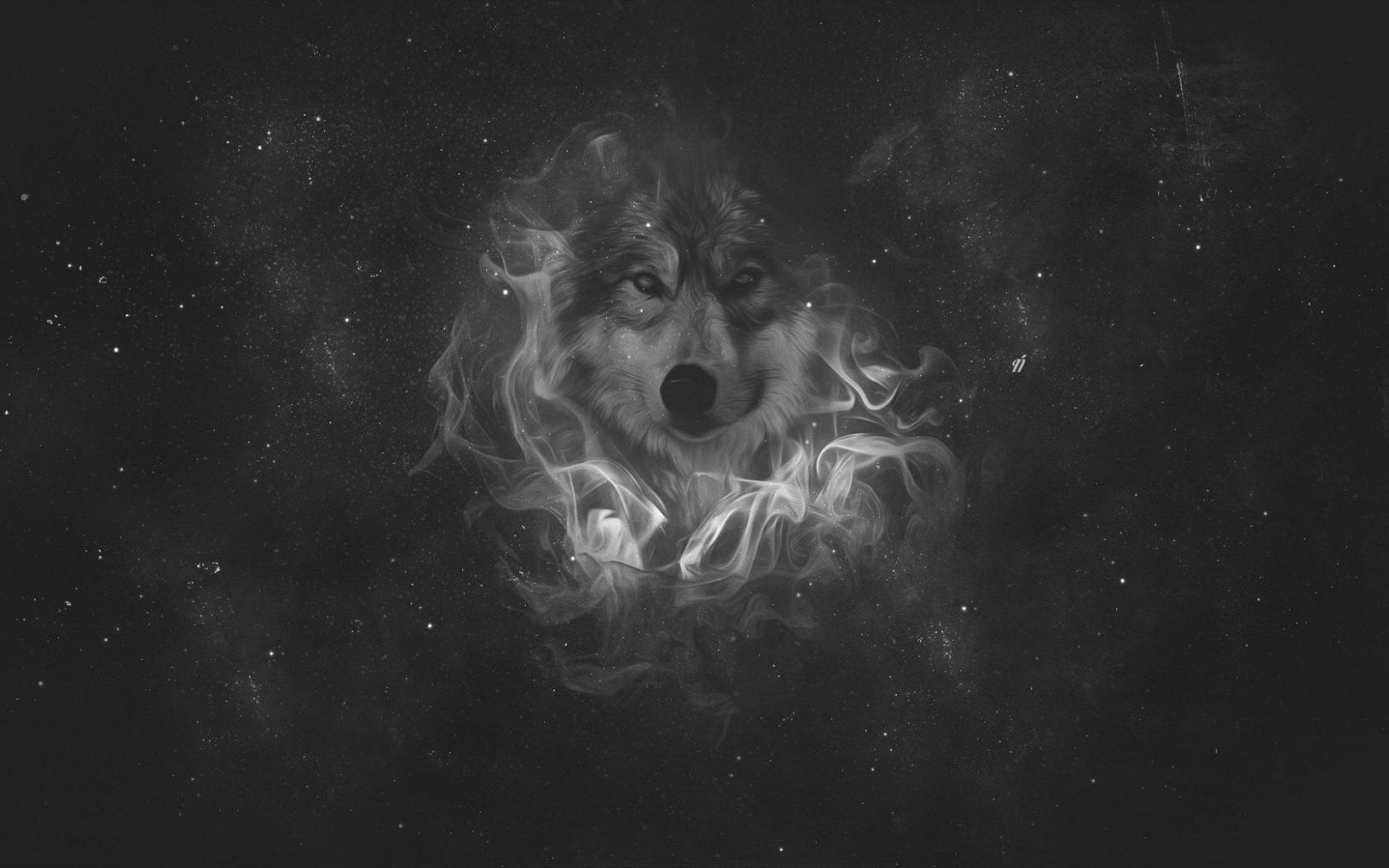 Star Wolf Wallpapers - Top Free Star Wolf Backgrounds - WallpaperAccess
