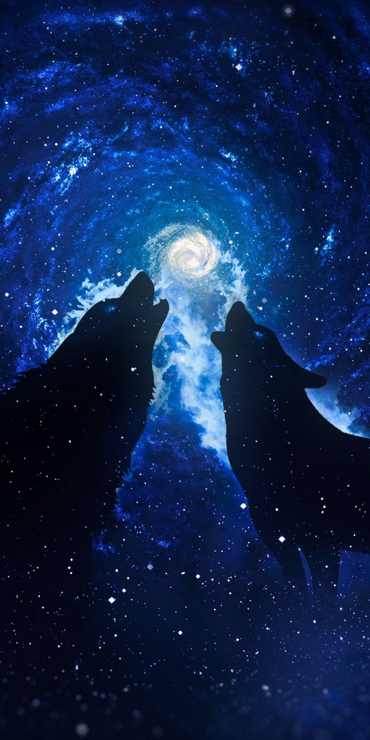 Star Wolf Wallpapers - Top Free Star Wolf Backgrounds - WallpaperAccess