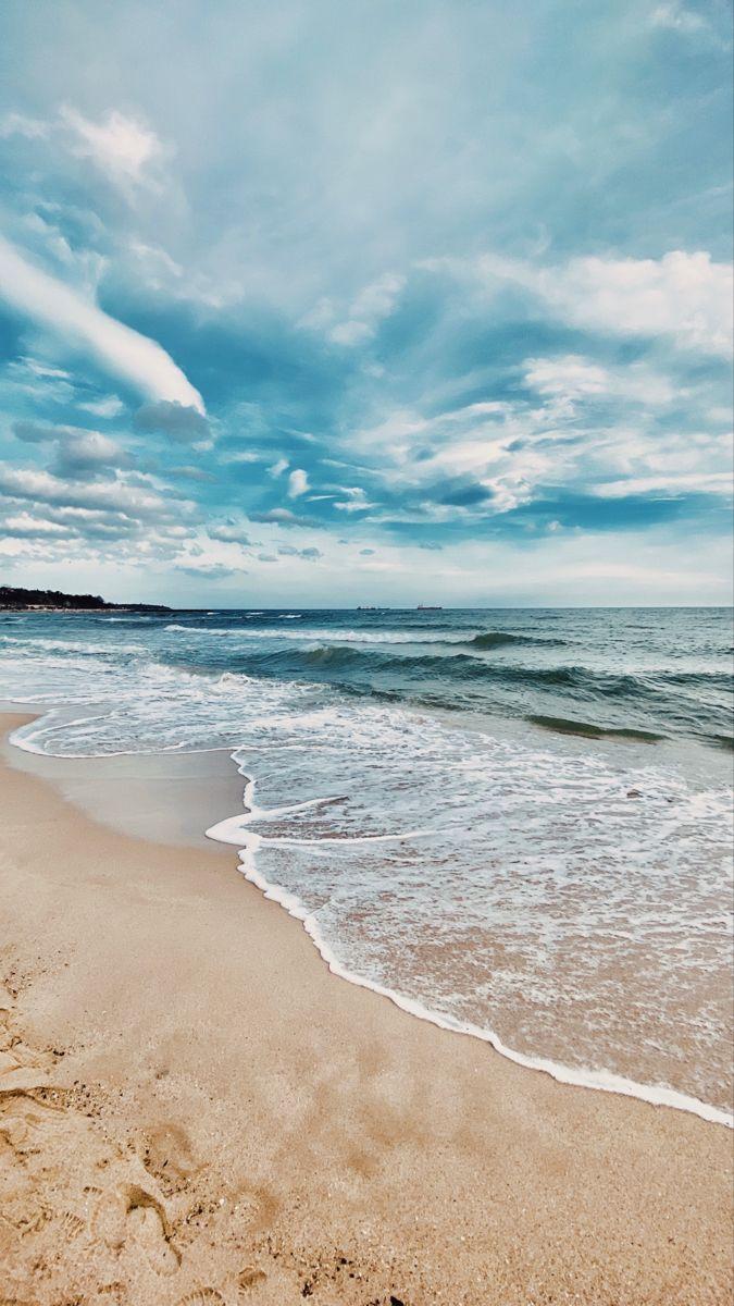 Cat On Beach Wallpapers - Top Free Cat On Beach Backgrounds ...