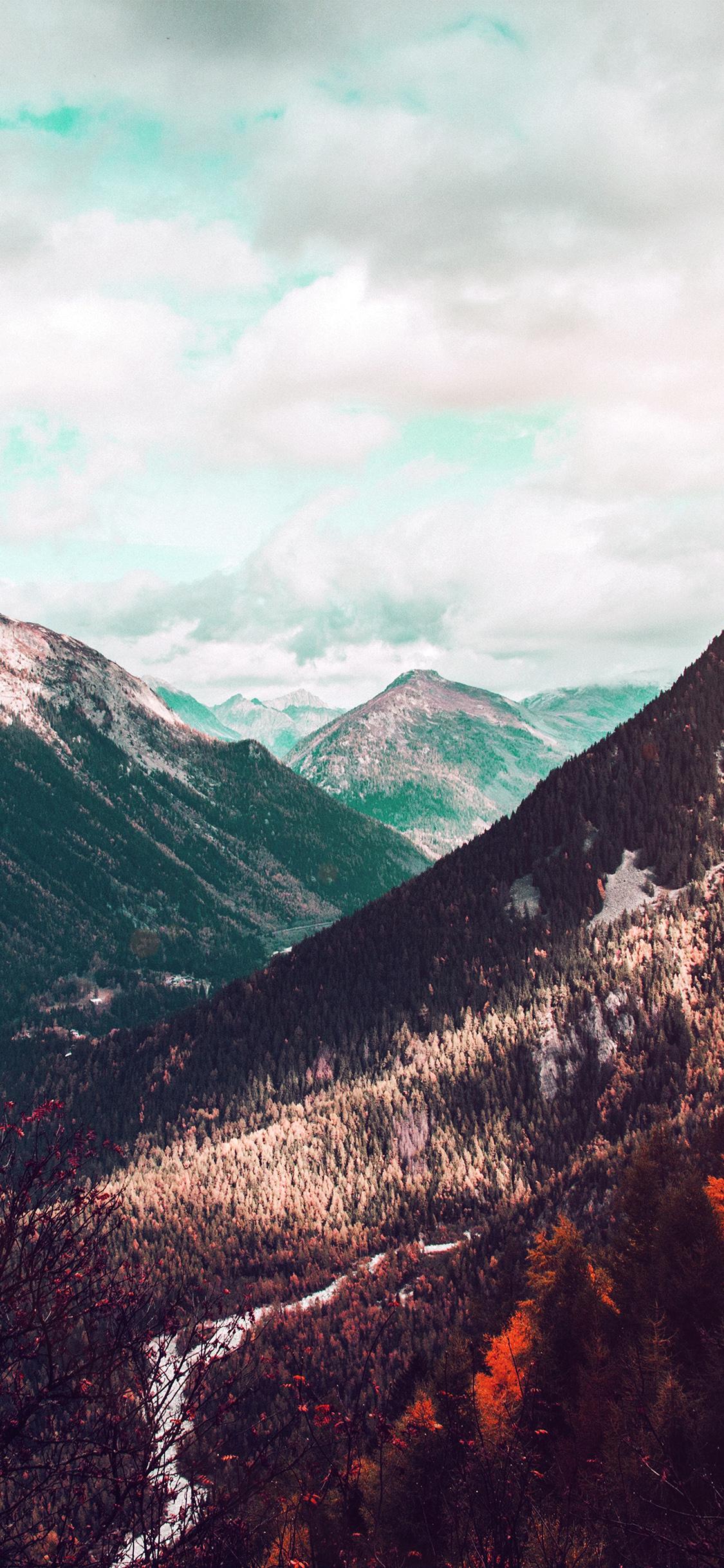 Mountain Forest iPhone Wallpapers - Top Free Mountain Forest iPhone ...