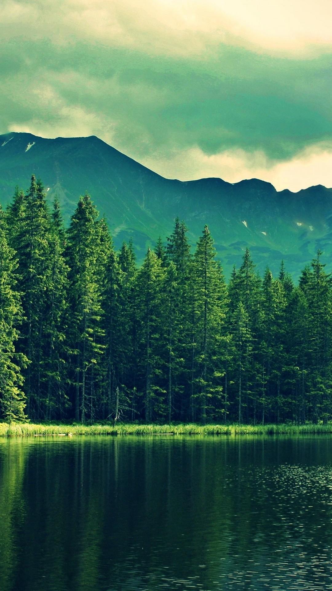 Mountain Forest iPhone Wallpapers - Top Free Mountain Forest iPhone ...