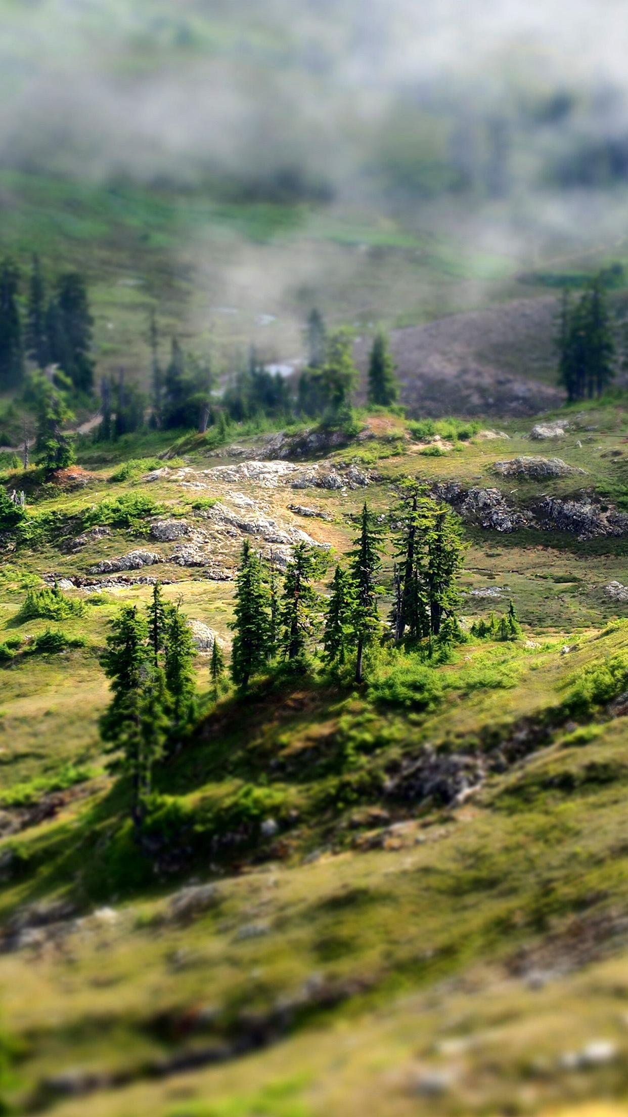 Mountain Forest iPhone Wallpapers - Top Free Mountain Forest iPhone ...