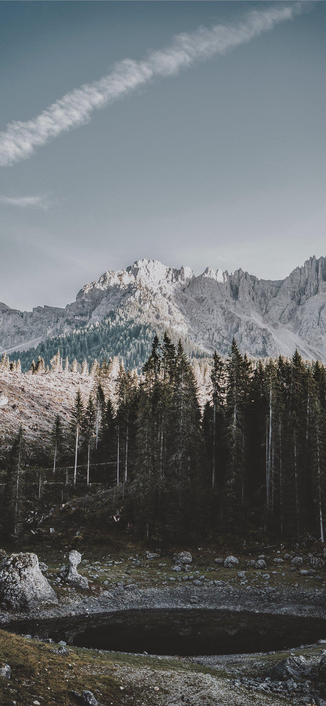 Mountain Forest iPhone Wallpapers - Top Free Mountain Forest iPhone ...