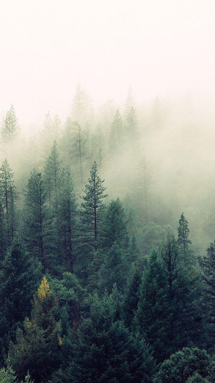 Mountain Forest iPhone Wallpapers - Top Free Mountain Forest iPhone ...