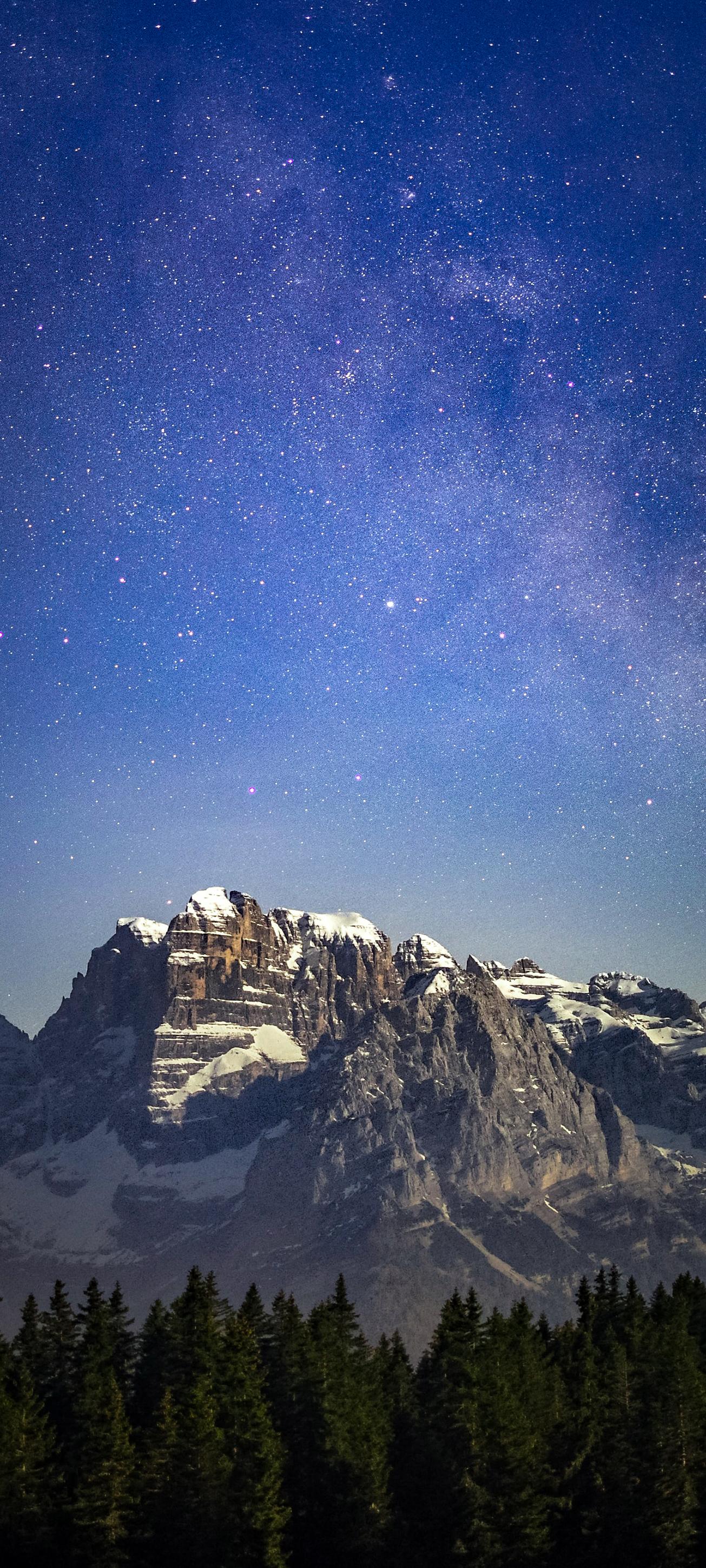 Mountain Forest iPhone Wallpapers - Top Free Mountain Forest iPhone ...