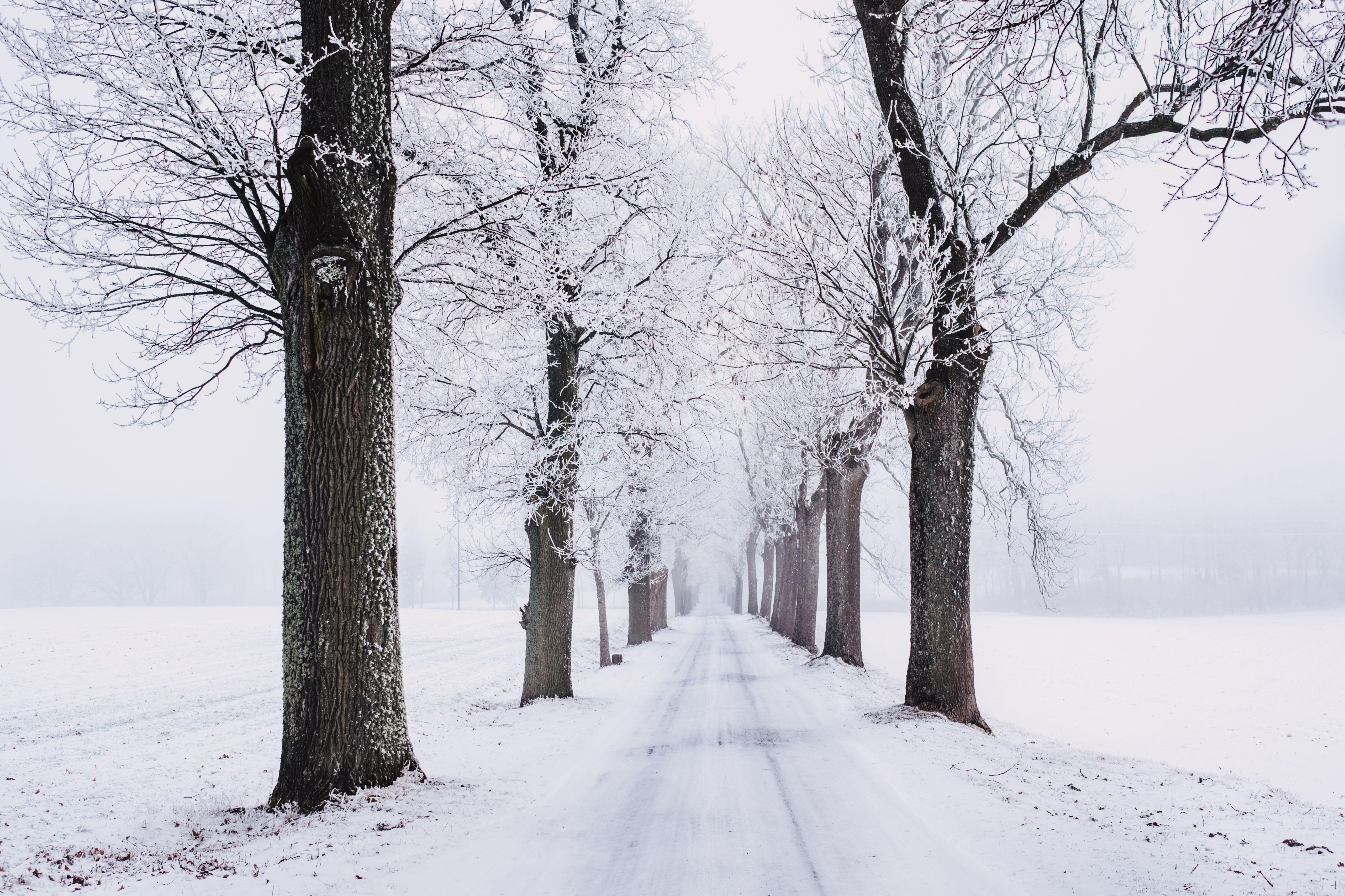 Cute Winter Snow Wallpapers - Top Free Cute Winter Snow Backgrounds ...