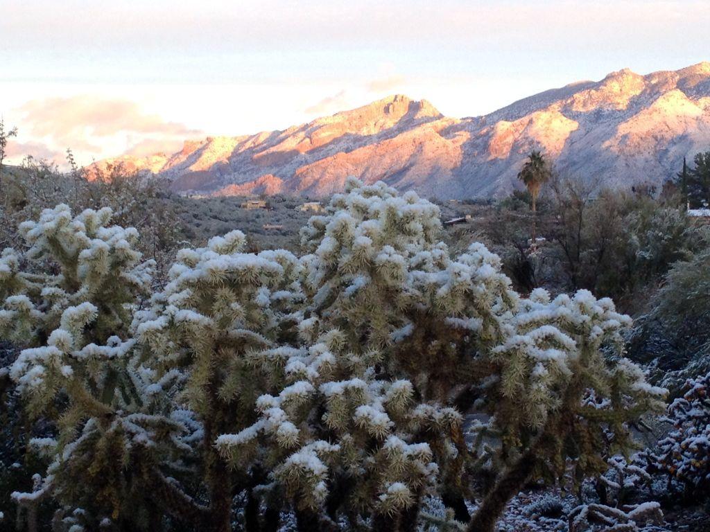 Tucson Winter Wallpapers - Top Free Tucson Winter Backgrounds ...