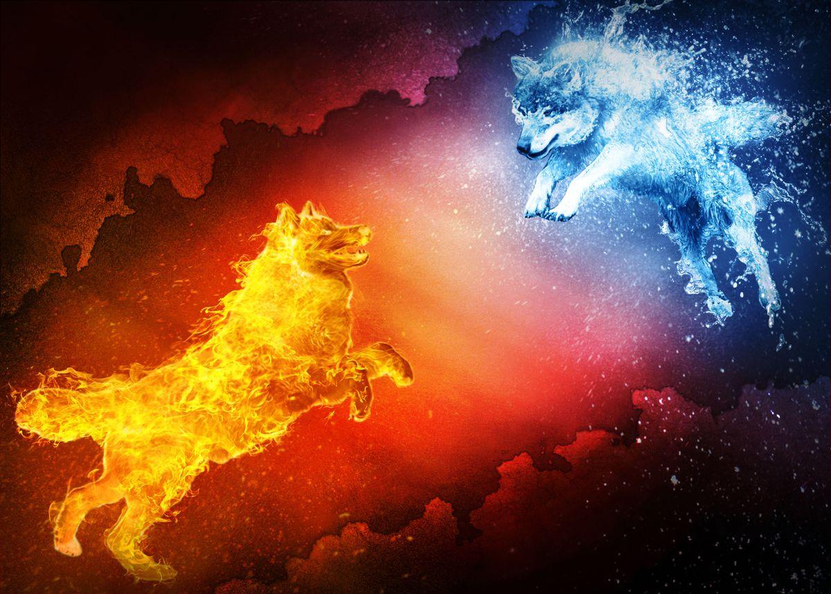 Cool Water Wolf Wallpapers - Top Free Cool Water Wolf Backgrounds ...