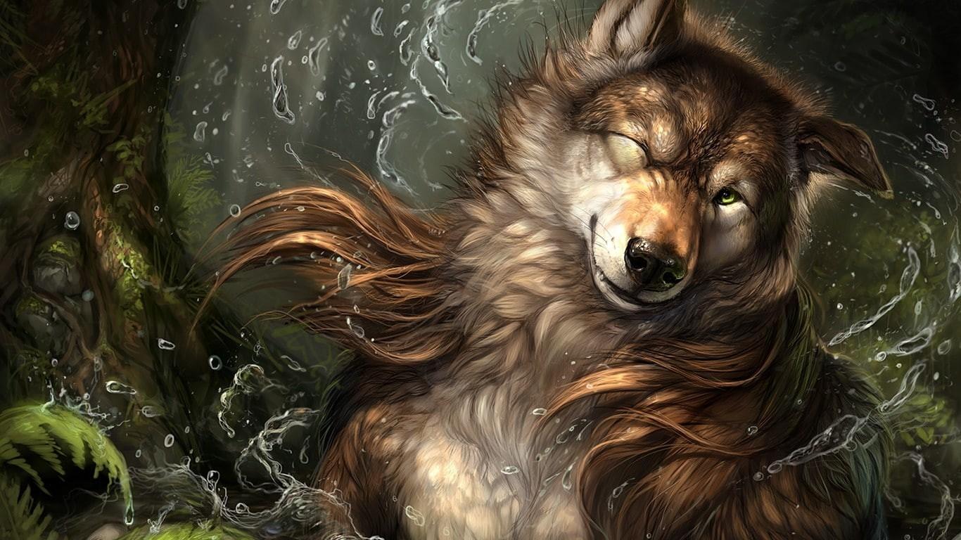 Furry Wolf Wallpapers - Top Free Furry Wolf Backgrounds - WallpaperAccess