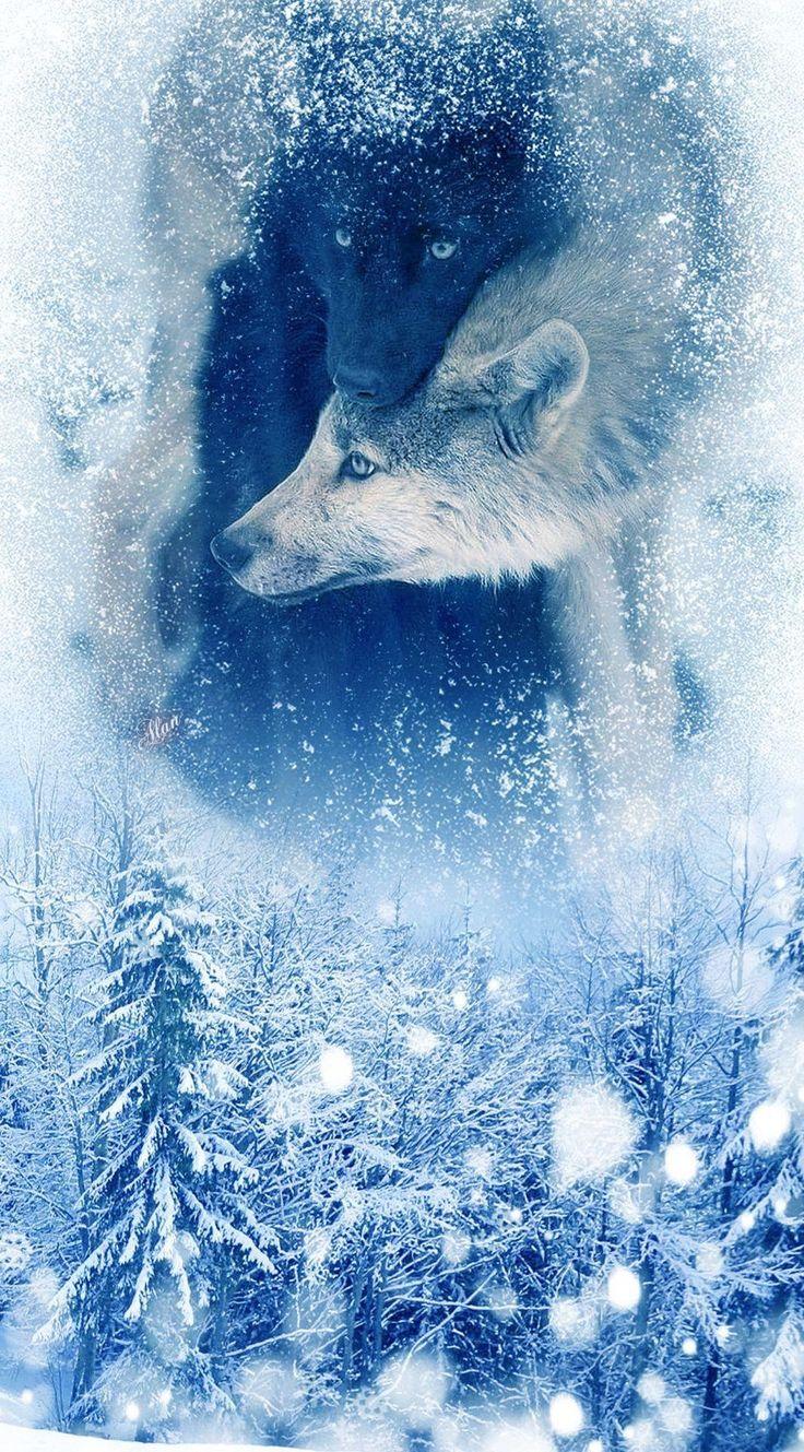 Cool Water Wolf Wallpapers - Top Free Cool Water Wolf Backgrounds ...