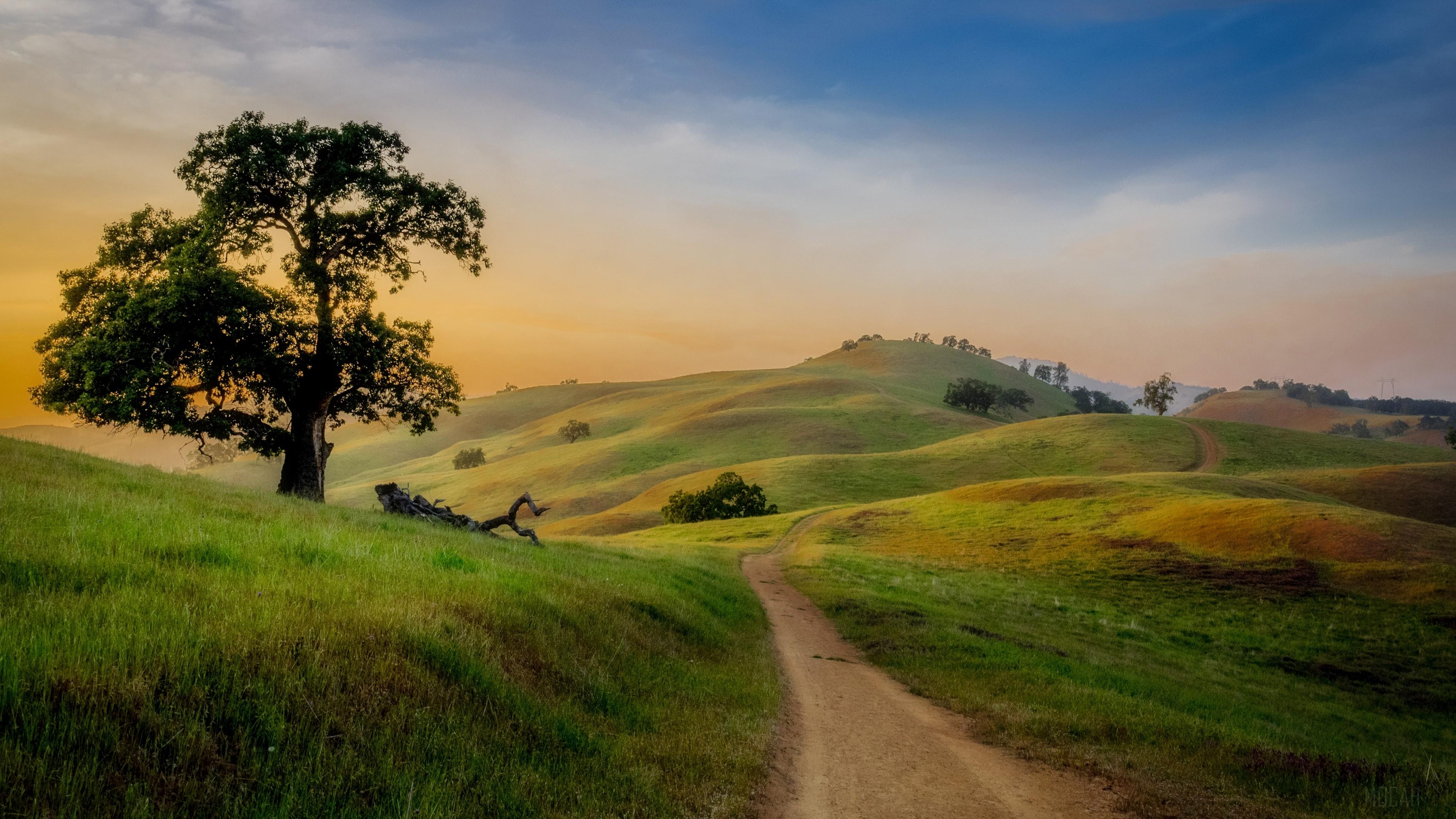 Spring Path Wallpapers - Top Free Spring Path Backgrounds - WallpaperAccess