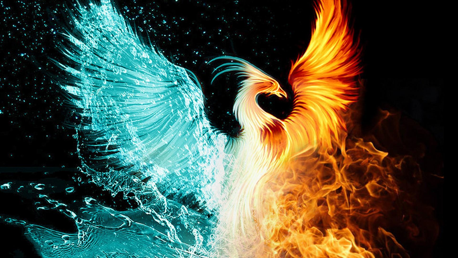 Blue Fire Phoenix Wallpapers - Top Free Blue Fire Phoenix Backgrounds ...