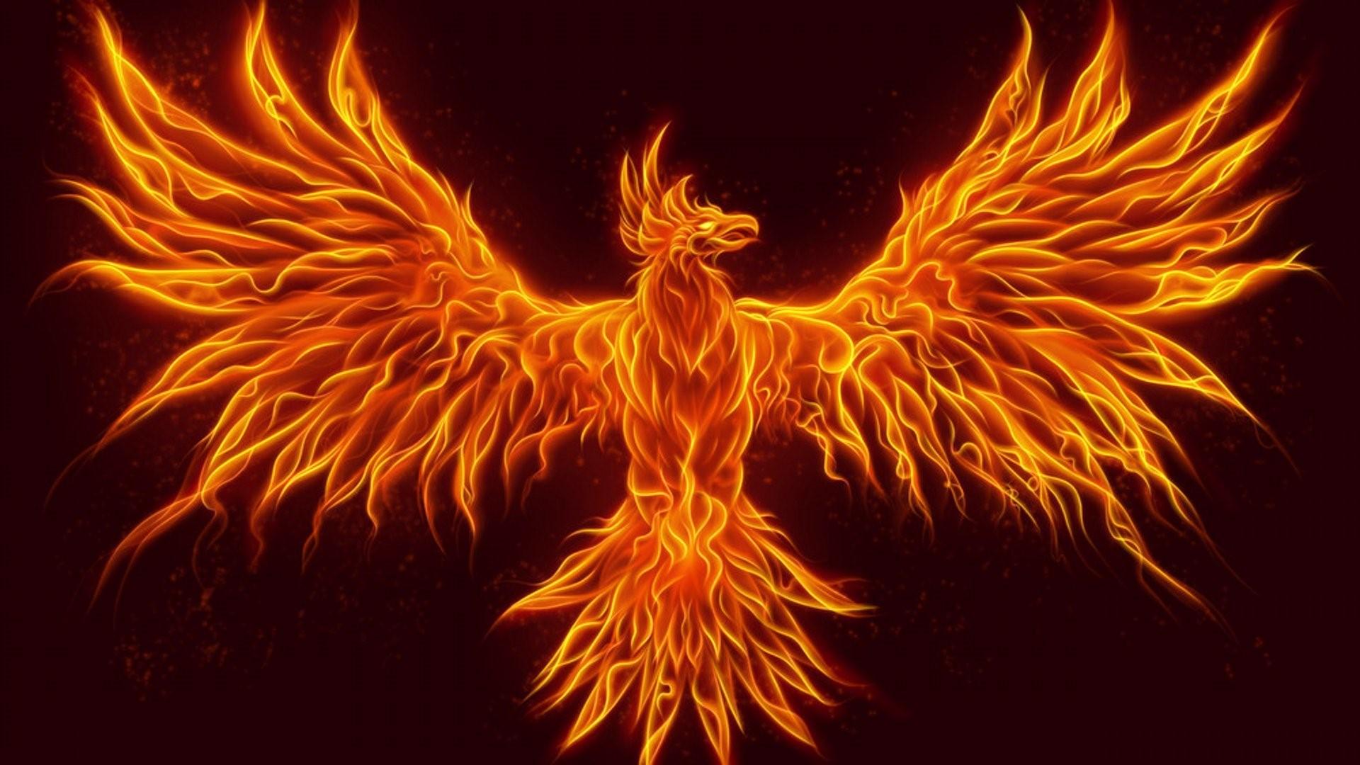 Blue Fire Phoenix Wallpapers - Top Free Blue Fire Phoenix Backgrounds ...