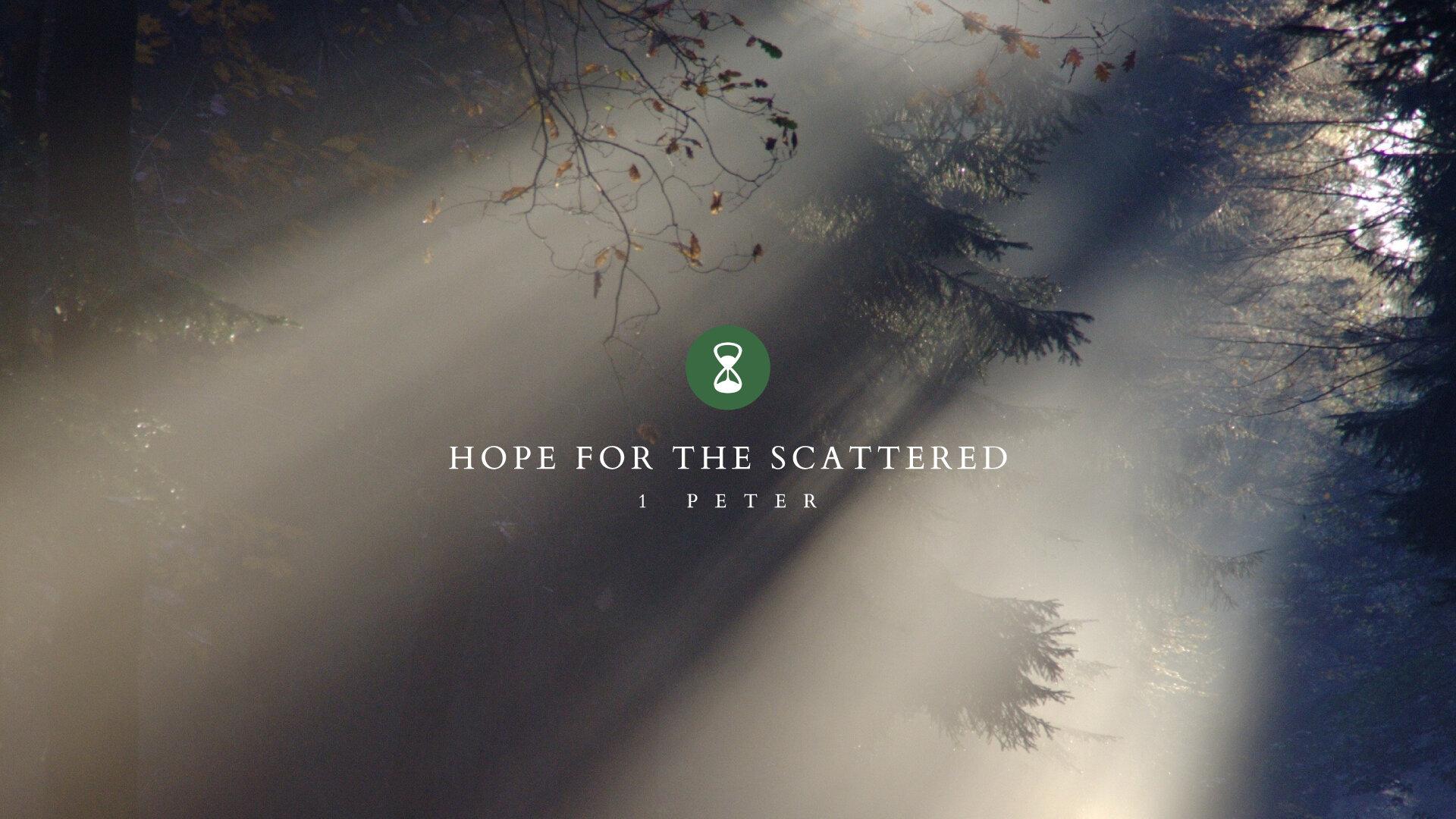 Sermon Wallpapers - Top Free Sermon Backgrounds - WallpaperAccess