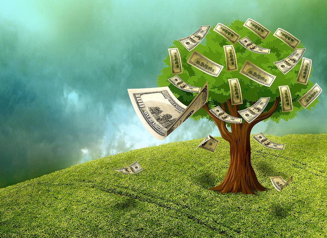 Money Tree Wallpapers - Top Free Money Tree Backgrounds - WallpaperAccess