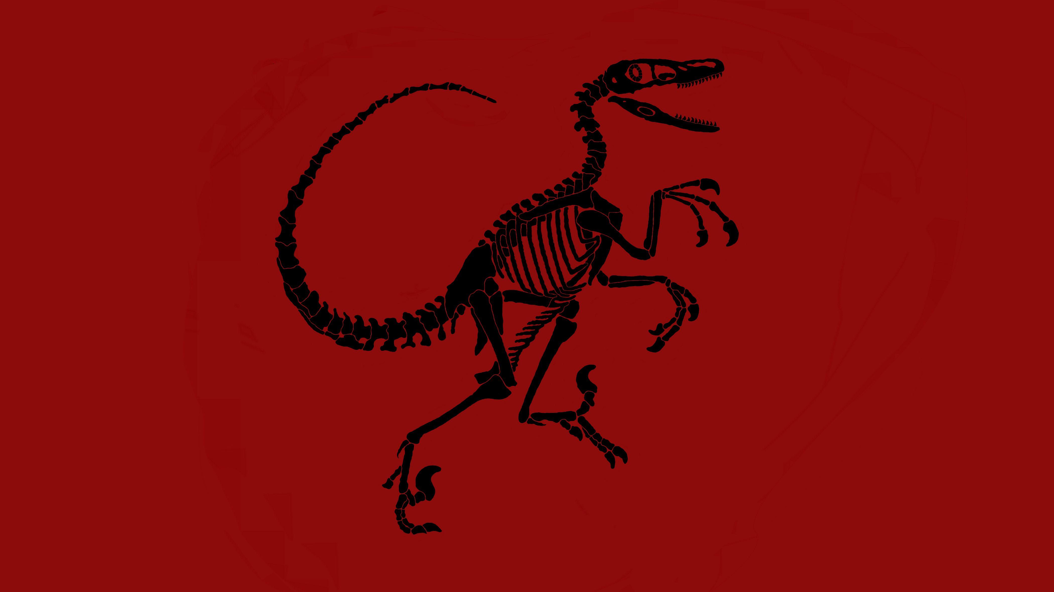 Raptor Dinosaur Wallpapers - Top Free Raptor Dinosaur Backgrounds ...