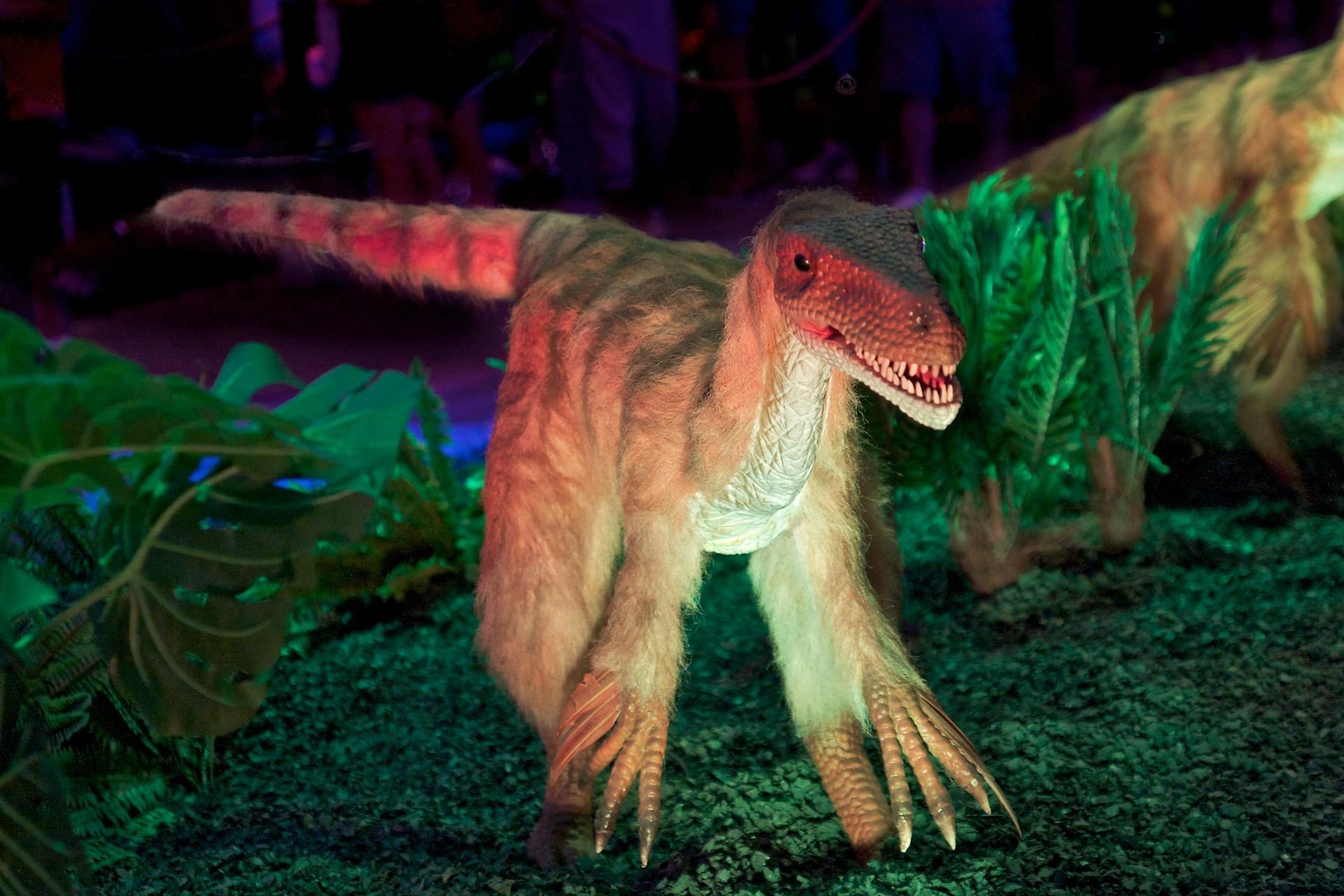 Raptor Dinosaur Wallpapers - Top Free Raptor Dinosaur Backgrounds ...