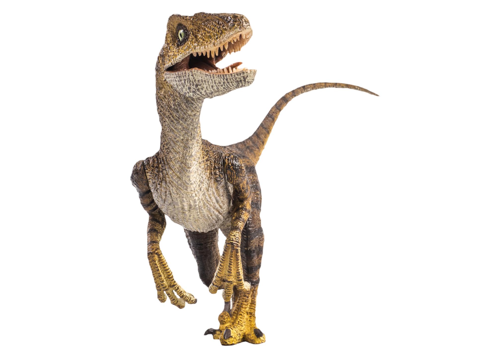 Raptor Dinosaur Wallpapers - Top Free Raptor Dinosaur Backgrounds ...