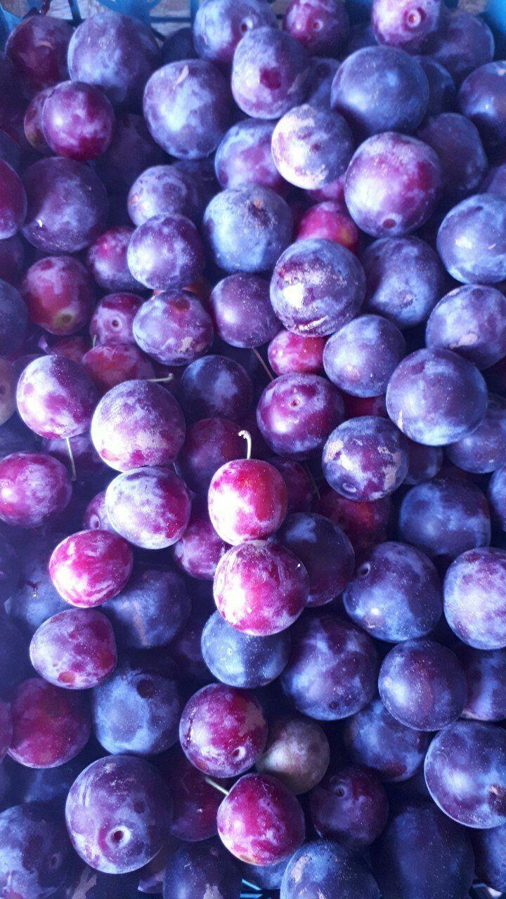 Purple Fruit Wallpapers - Top Free Purple Fruit Backgrounds ...