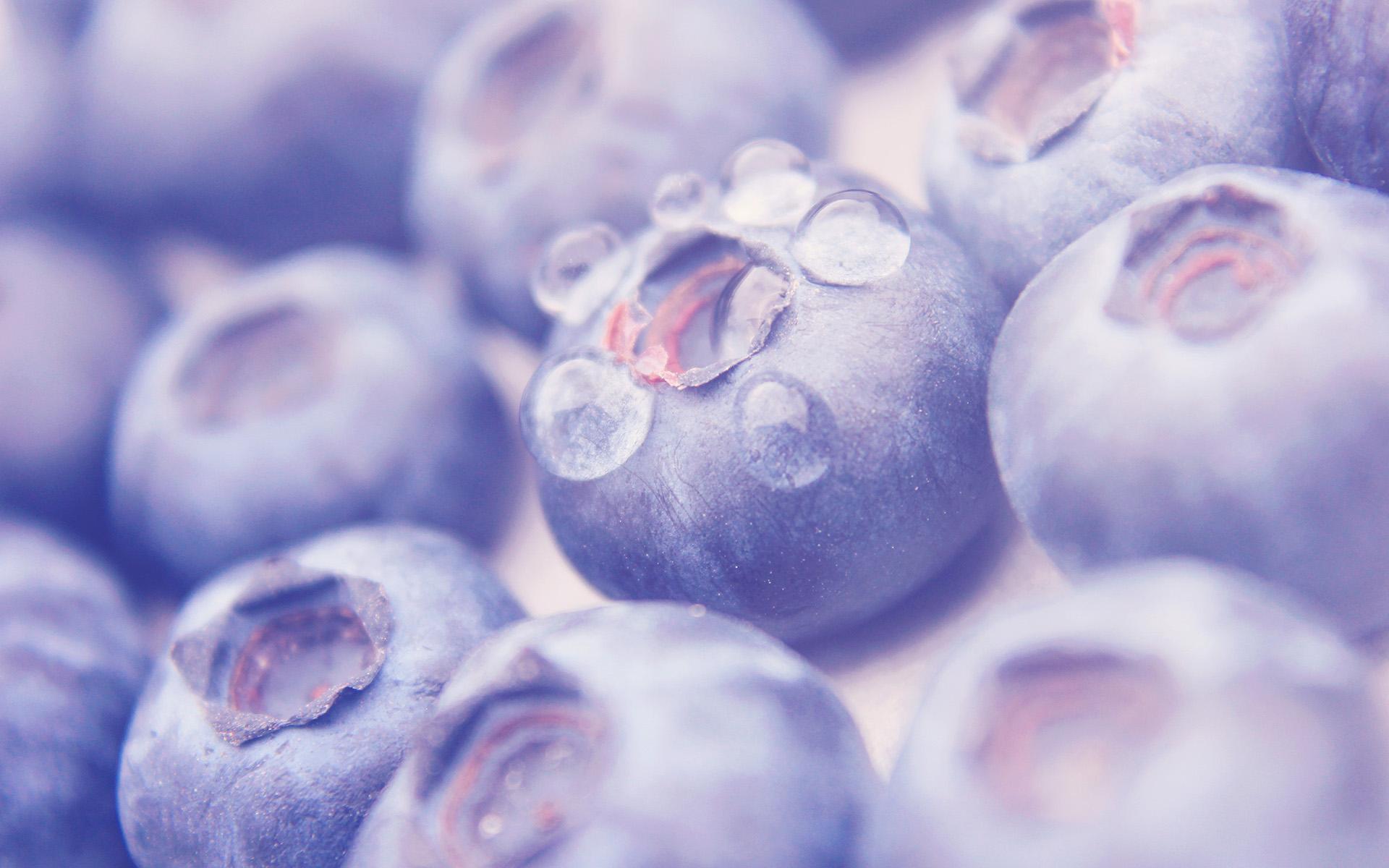 Purple Fruit Wallpapers - Top Free Purple Fruit Backgrounds ...
