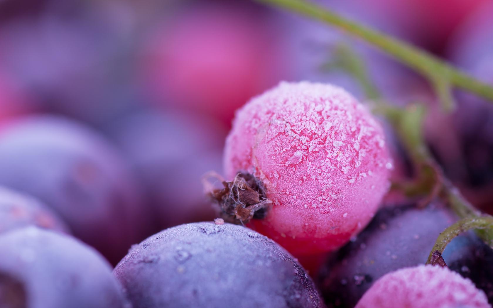 Purple Fruit Wallpapers - Top Free Purple Fruit Backgrounds ...