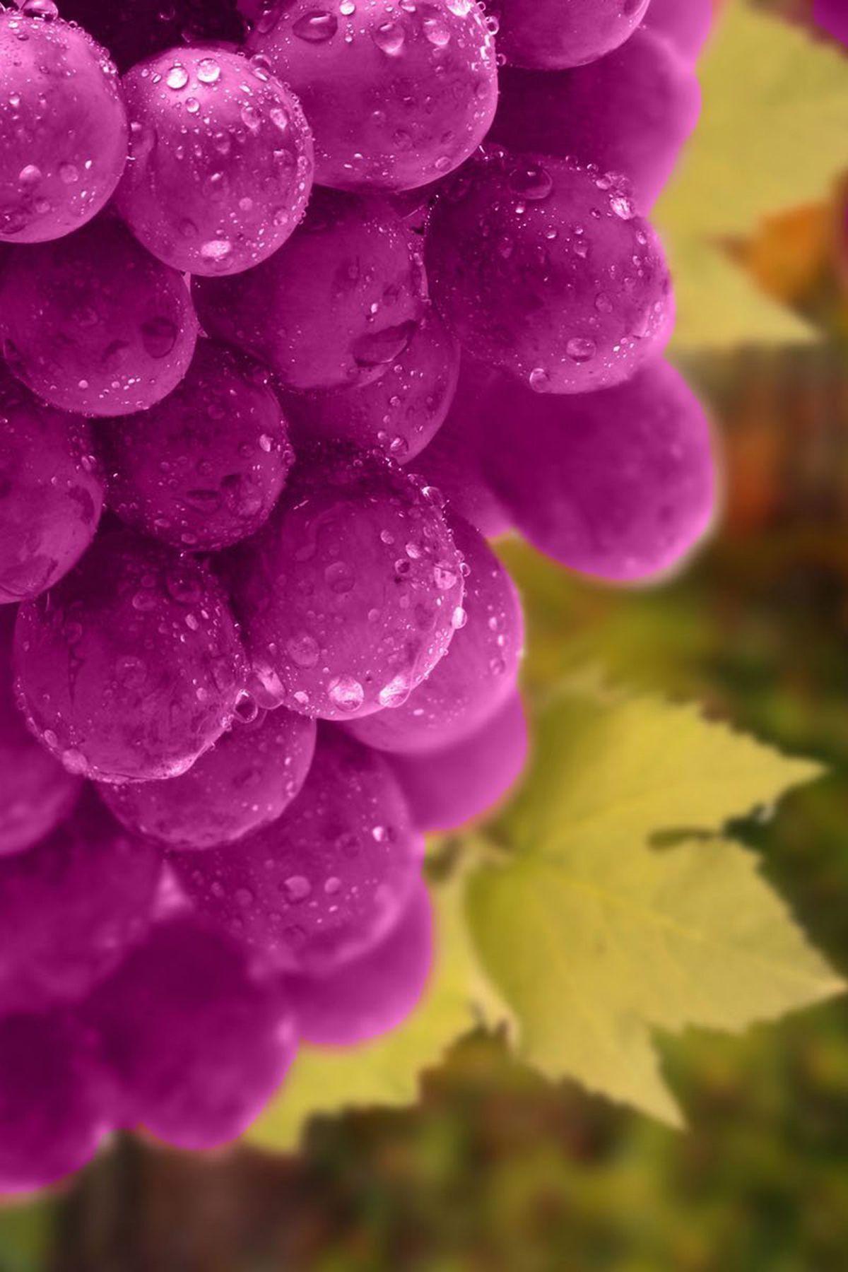 Purple Fruit Wallpapers - Top Free Purple Fruit Backgrounds ...
