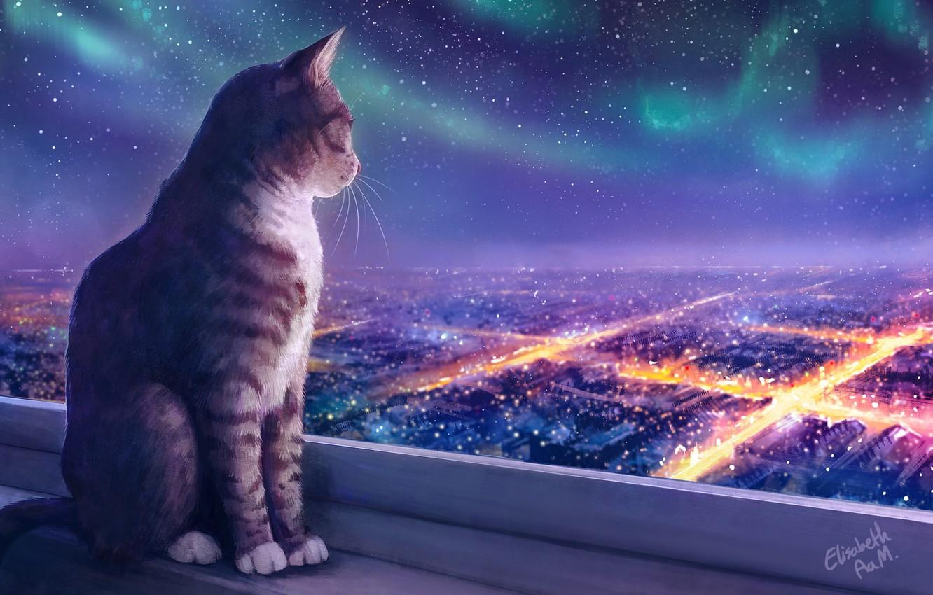 Cat Light Wallpapers - Top Free Cat Light Backgrounds - WallpaperAccess
